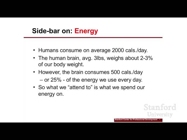 Design Your Life: Part I: Reframe Your Passion - University Webinars